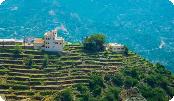 Jeddah Events Tickets - Online Ticket Booking - Platinumlist.net