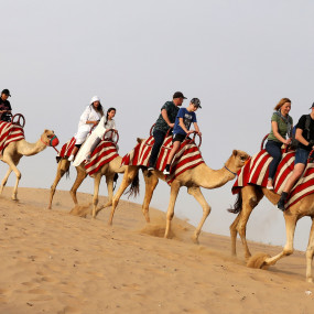 Photos from Morning Desert Safari Dubai with Dune Bashing, Sand Boarding & Camel Ride in Dubai ...