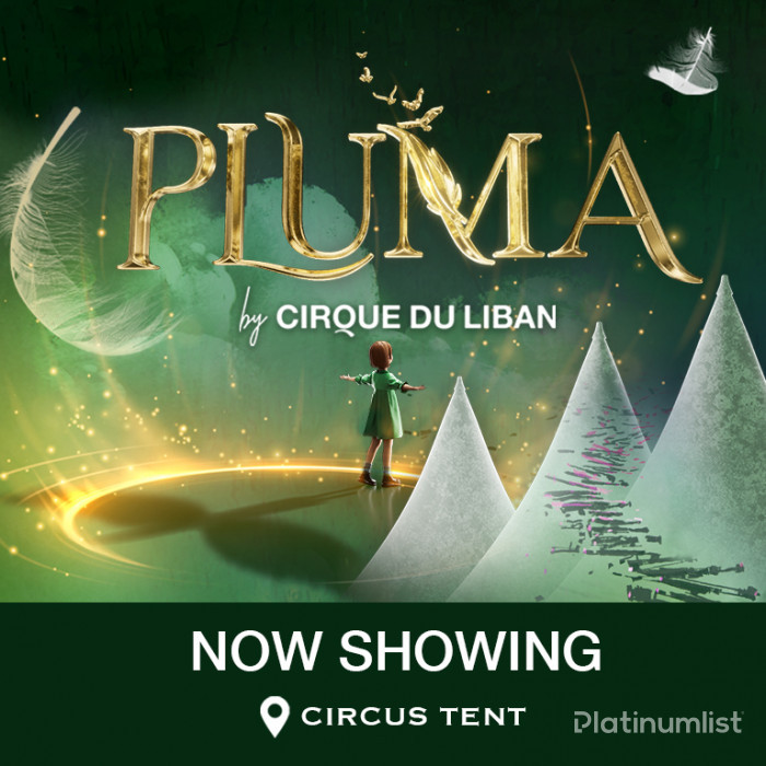 Photos from Pluma Show/Circus in Dubai in Dubai - Platinumlist.net