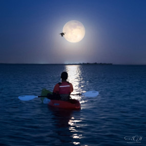 Photos from Full Moon Kayak Tour in Eastern Mangrove in Abu Dhabi ...