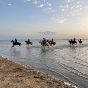 Photos from Horse Riding in Jeddah in Jeddah - Platinumlist.net