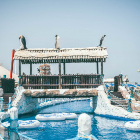 Photos from Iceland Water Park in RAK - Platinumlist.net