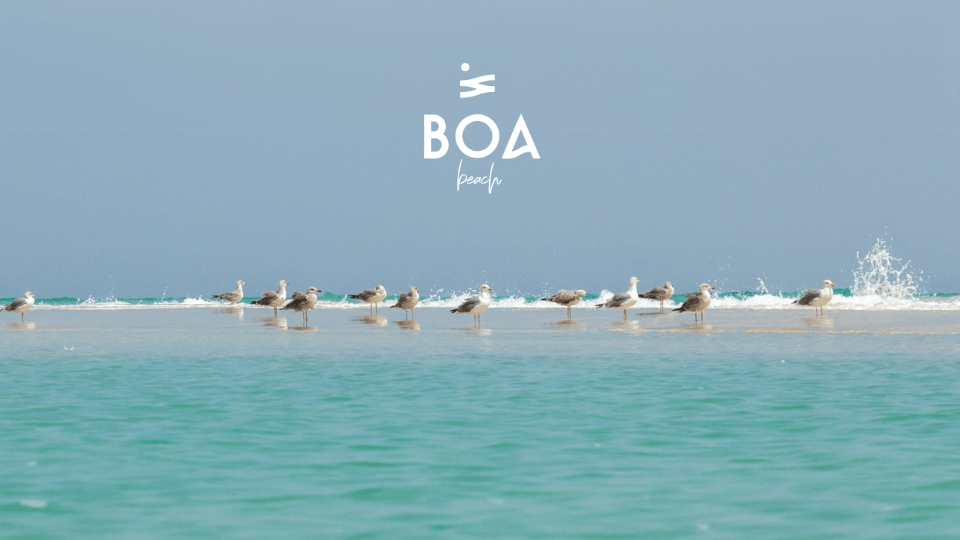 BOA The Beach in Jeddah tickets, 2025 Party - Platinumlist.net