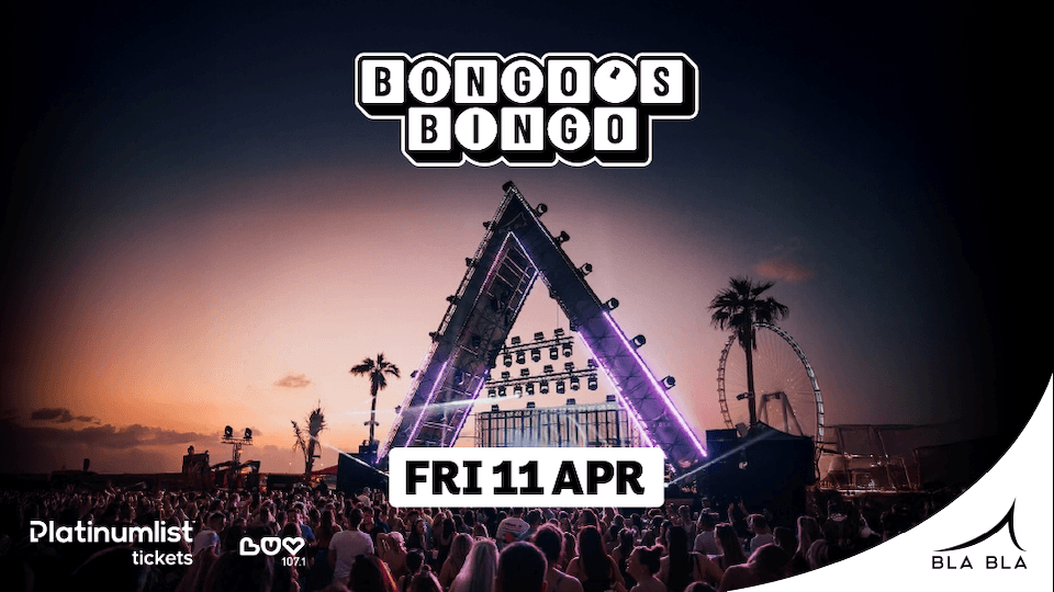 bongo bingo 2024