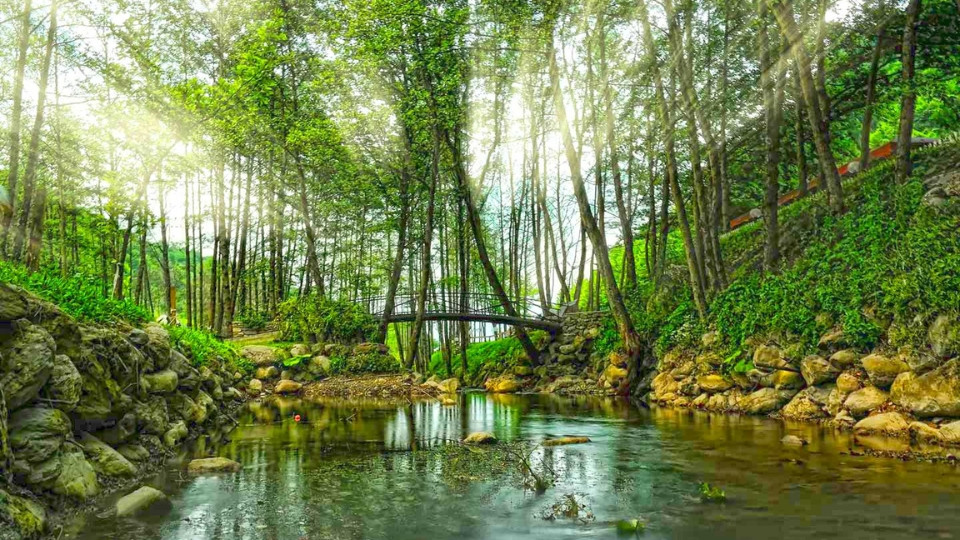 Tickets to Daily Sapanca and Masukiye Tour: Full-Day Trip From Istanbul ...