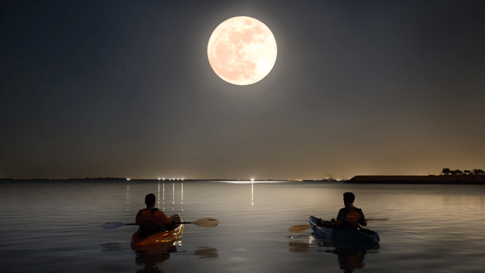 Full Moon Kayak Tour in Eastern Mangrove Tickets. Best Offers and ...