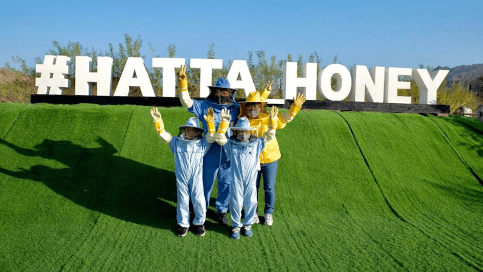 Hatta Honeybee Garden Discovery Tour 2025 United Arab Emirates ...