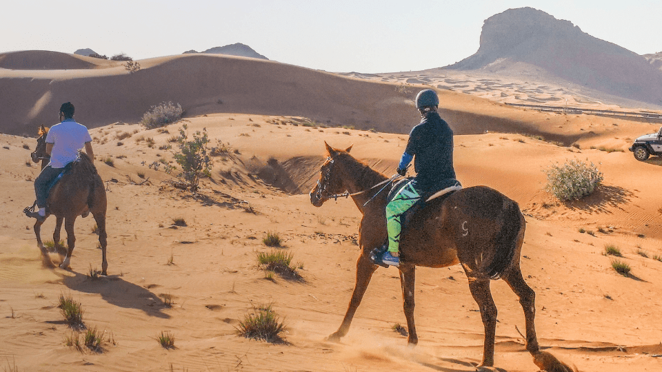Horse Back Riding Desert Hack Tickets, Sharjah. Best Offers and Prices ...