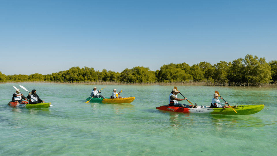 Abu Dhabi Aqdar Kayaking and Mangrove Planting - Platinumlist.net
