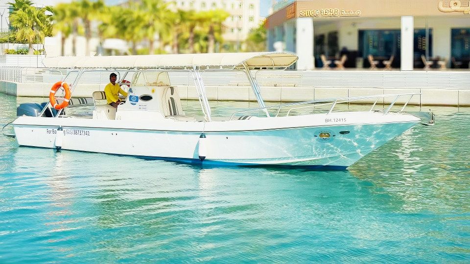 Private Boat Trip to Saada Island, Manama. Best Offers and Prices ...