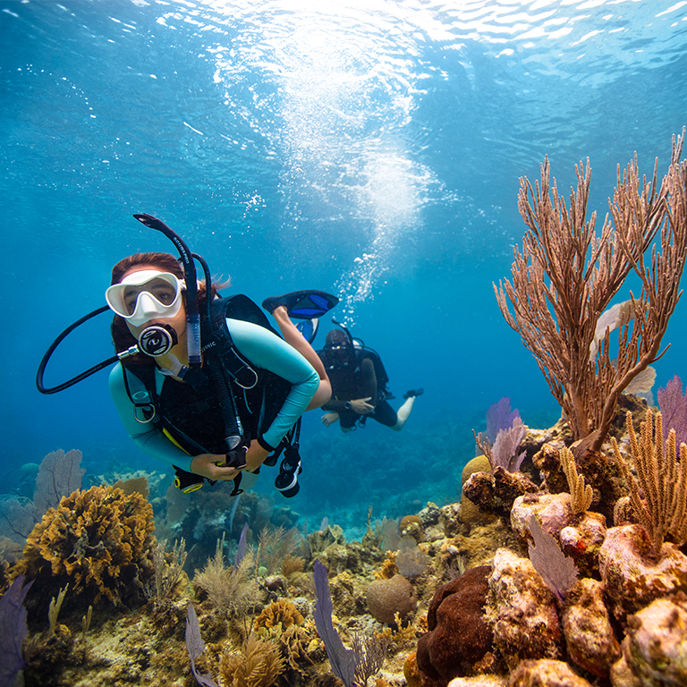 Discover Scuba Diving at the Reef of Burj Al Arab Dubai - Platinumlist.net