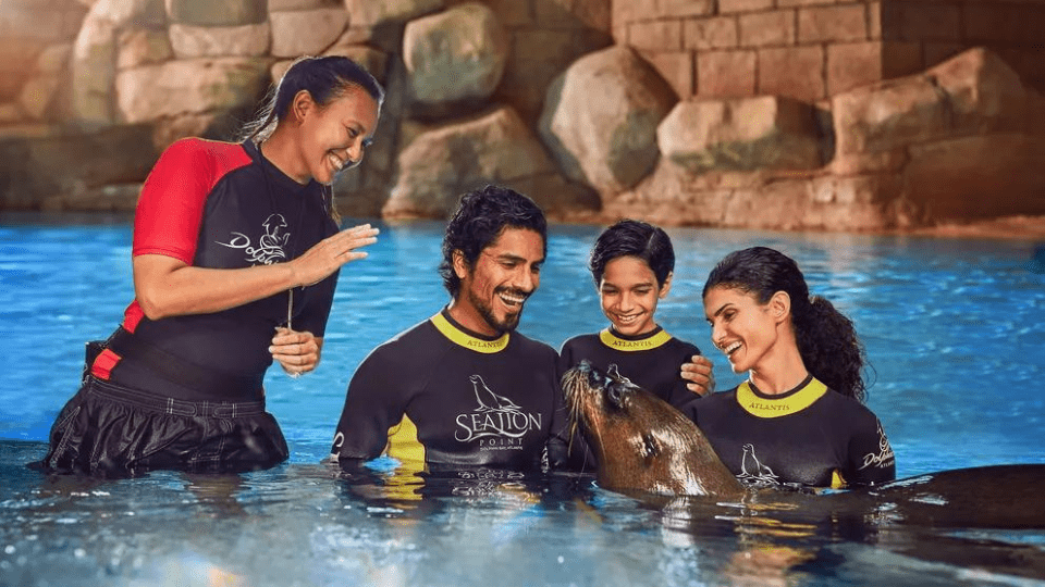Sea Lion Experiences at Atlantis The Palm Tickets, Dubai. Best Offers ...