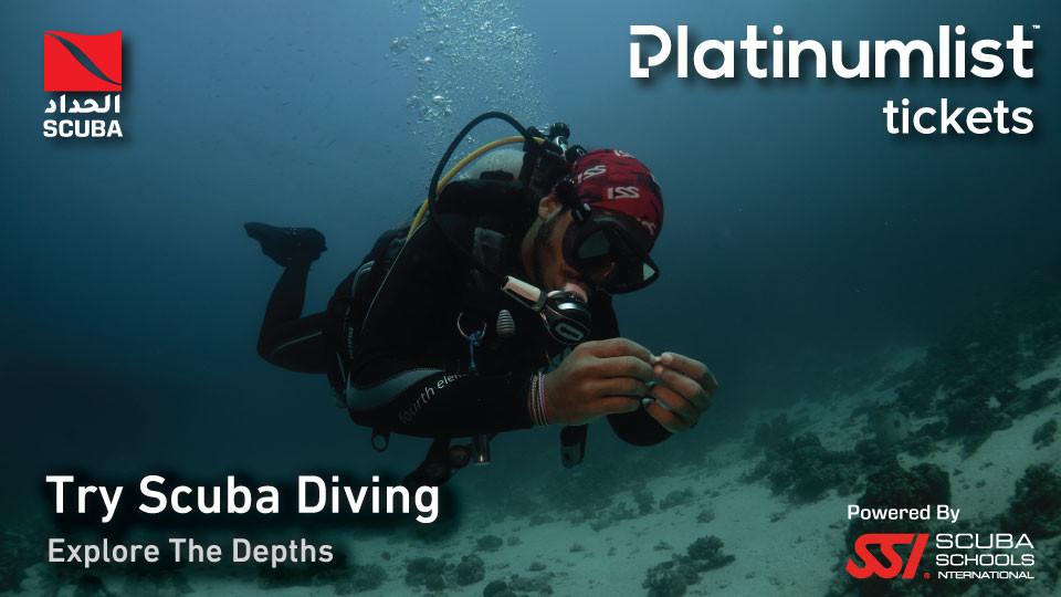 Try Scuba Diving in Jeddah 2025 Saudi Arabia - Aticket | Buy tickets