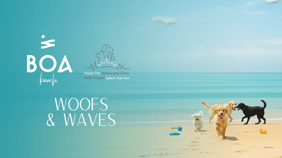 Woofs & Waves at Boa the Beach in Jeddah Tickets, 2025 Event - Platinumlist.net